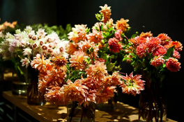 Floral Design Classes New York | CourseHorse